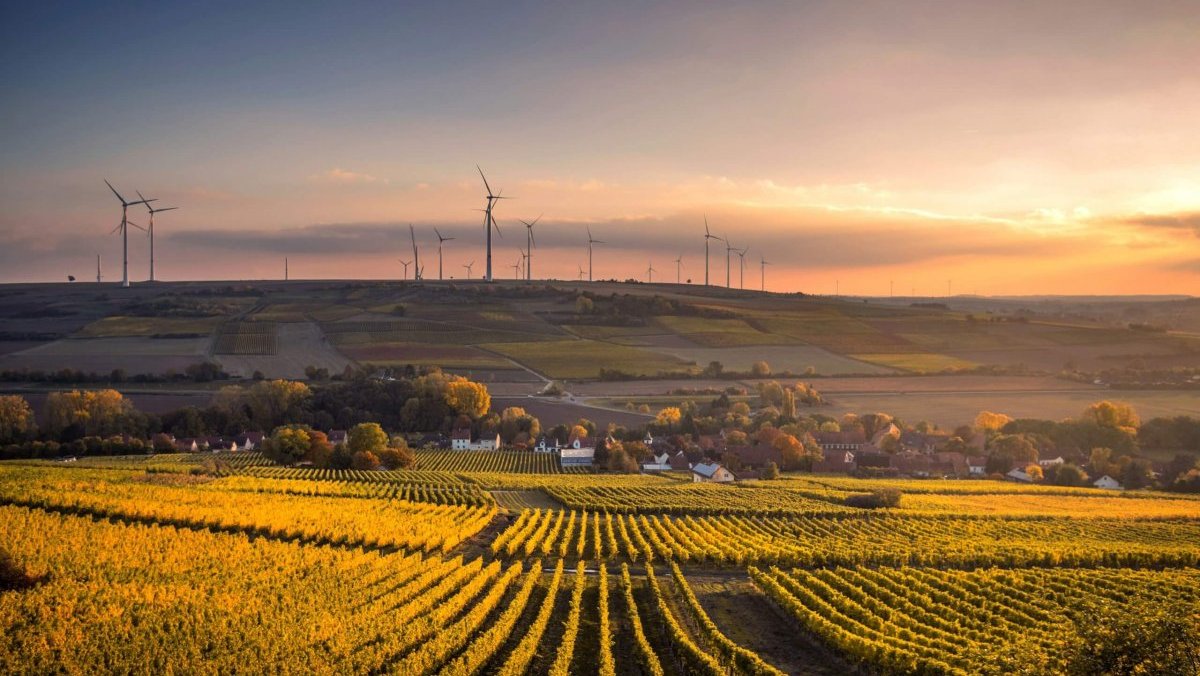 環境影響評估- 以WSP Future Ready面向探討環境影響評估