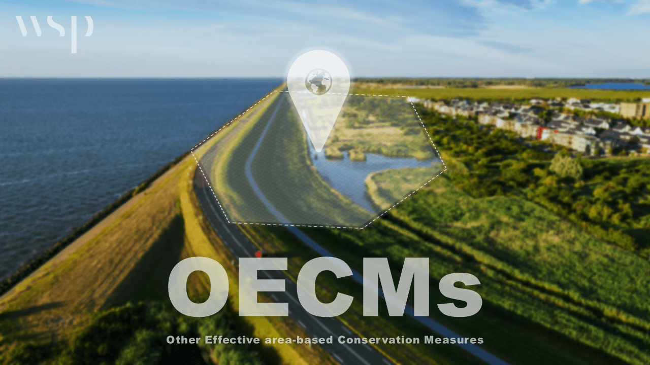 WSP觀點│從揭露到合作：企業如何落實 OECMs 與 ESG 制度化？